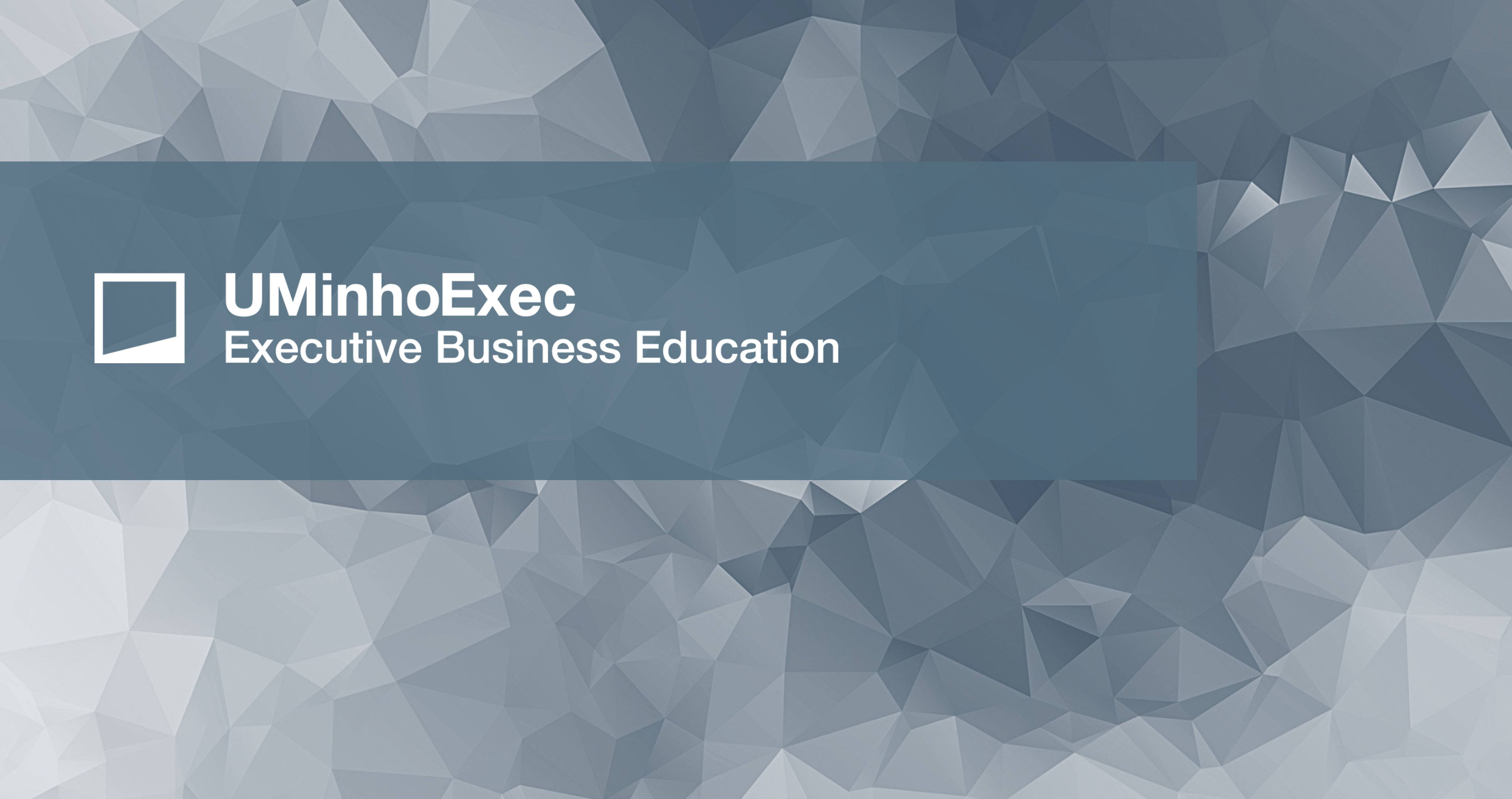 UMinhoExec